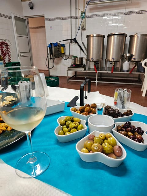 Tavira City & Olive Factory Tuktuk tour | GetYourGuide