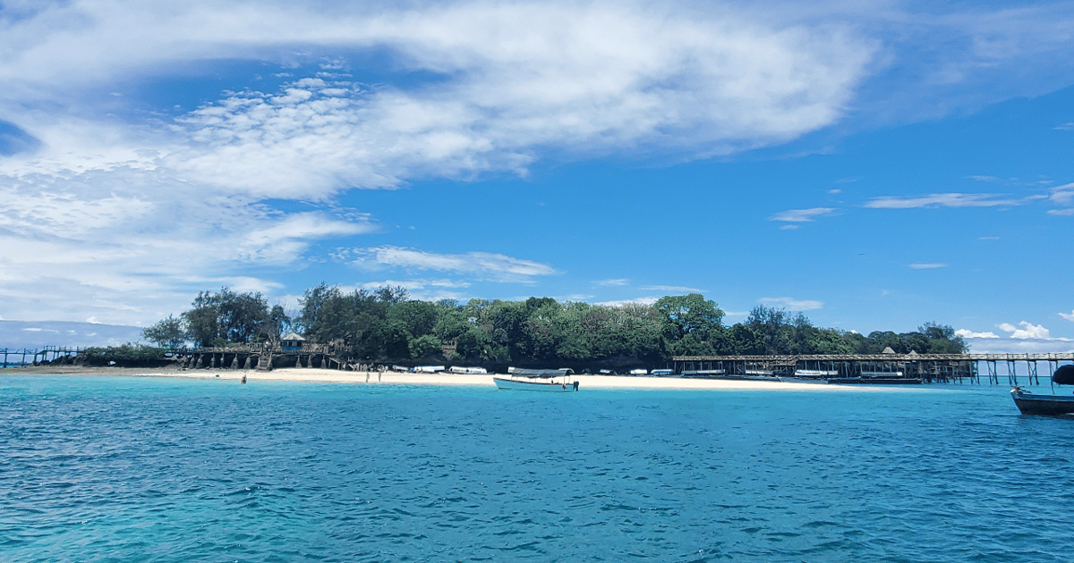 Zanzibar: Prison Island tour by Speedboat with Snorkeling | GetYourGuide