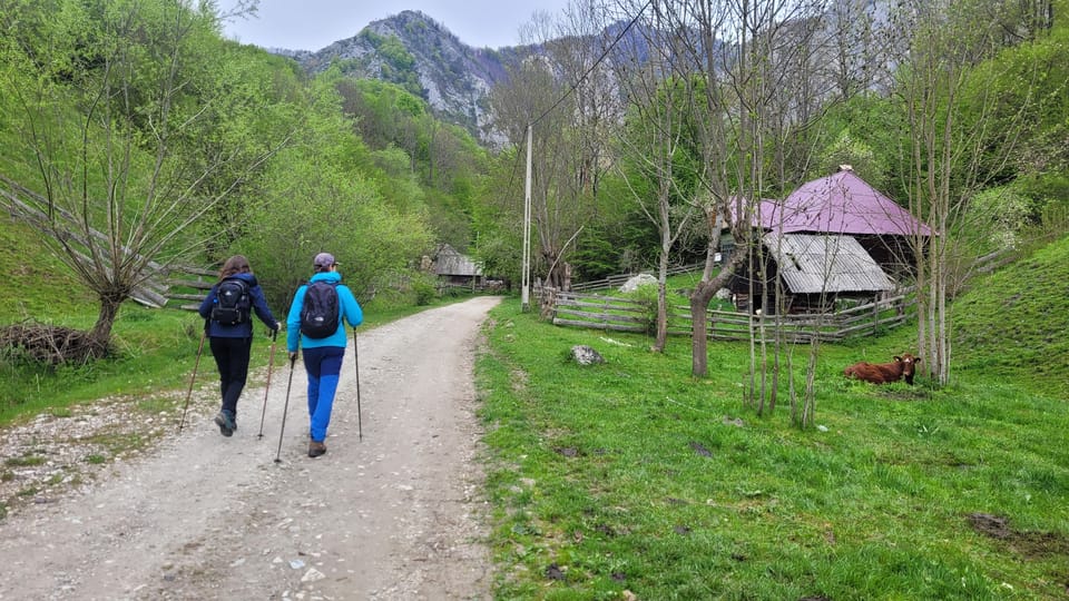 From Cluj-Napoca: Apuseni Mountains Hiking Guided Day Tour | GetYourGuide