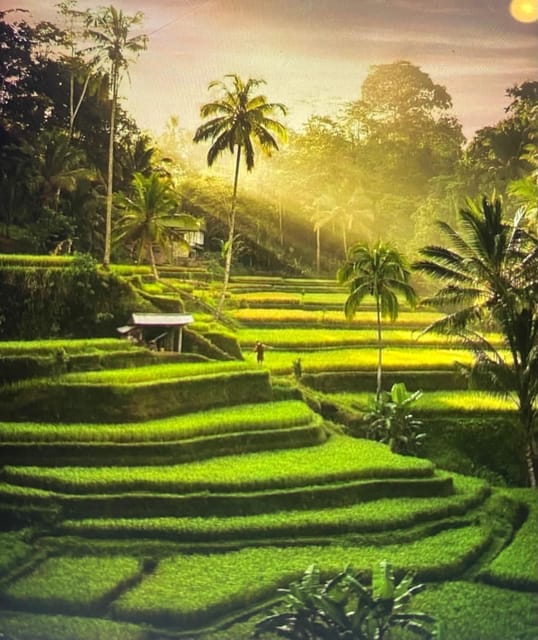 Ubud Rice terrace,Waterfall,Art Village and Temple Day Tour | GetYourGuide