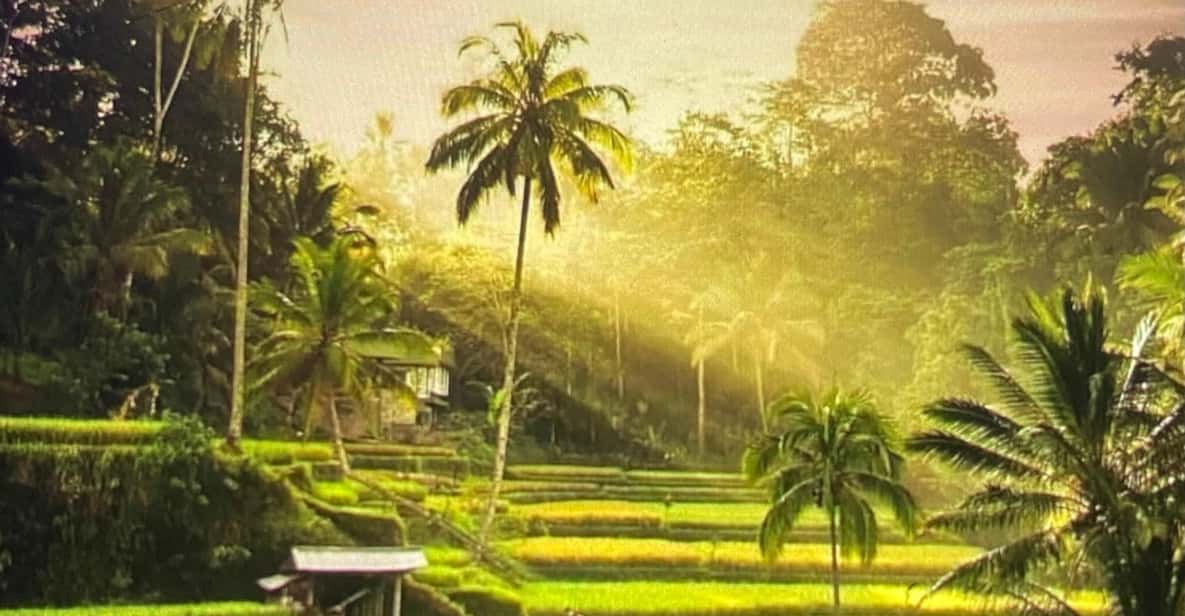 Ubud Rice terrace,Waterfall,Art Village and Temple Day Tour | GetYourGuide