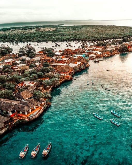 KISITE NATIONAL PARK AND WASINI ISLAND: DAY TOUR FROM DIANI | GetYourGuide