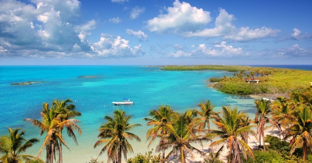 Isla Contoy and Isla Mujeres Full Day Trip Adventure | GetYourGuide
