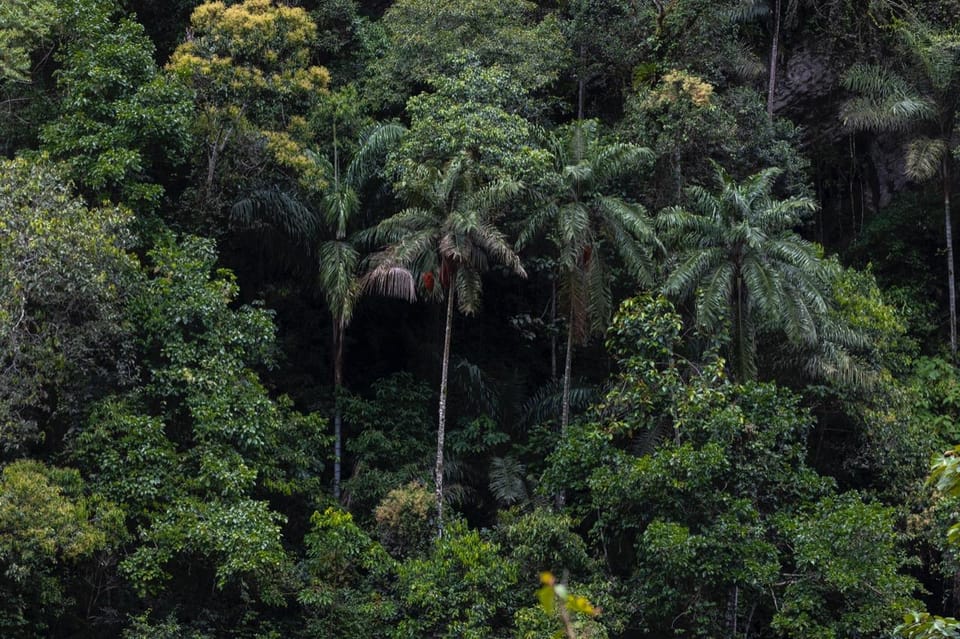 Rafting en el río Utcubamba, cerca de la catarata de Gocta, Amazonas ...