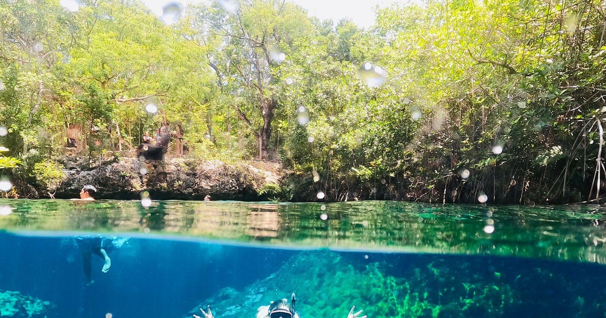 VIP 3 Cenotes Private Tour | GetYourGuide