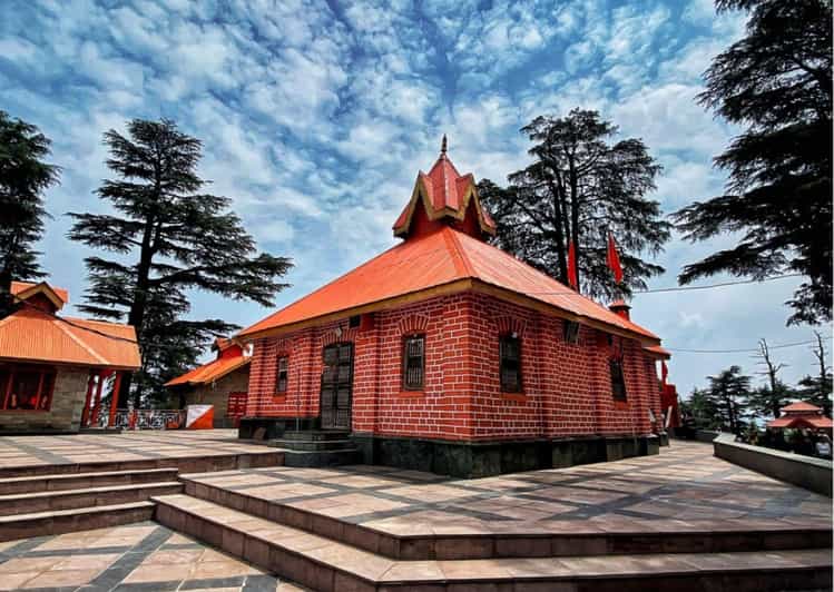 The BEST Shimla Nature & adventure 2024 - FREE Cancellation | GetYourGuide