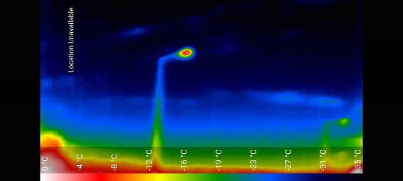 Bat Watching Madeira | GetYourGuide