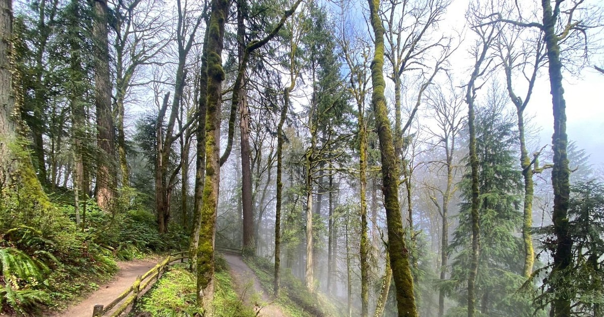 Portland, Oregon: escursione guidata a Forest Park con il Castello ...