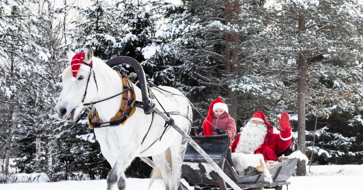 Rovaniemi: Tradicional paseo en trineo de caballos finlandeses en SCV ...