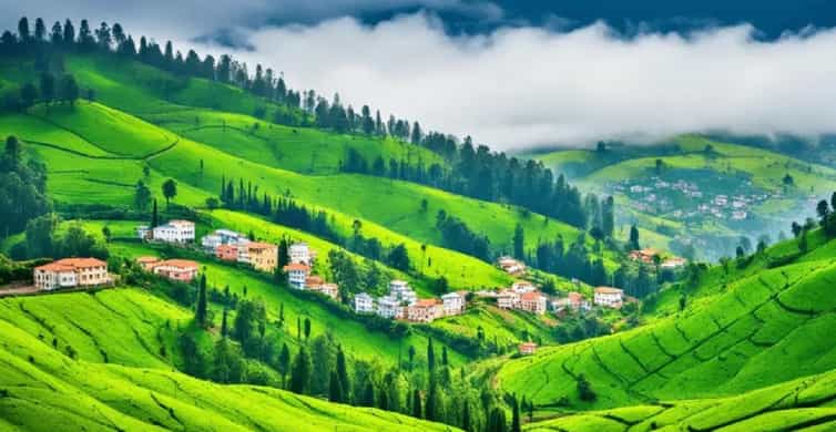 2-Day Ooty and Coonoor Sightseeing Tour | GetYourGuide
