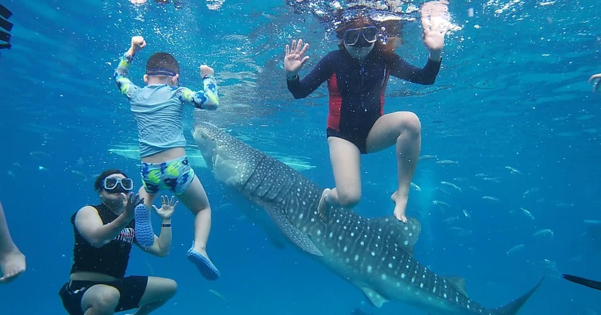 Cebú: Tiburón Ballena e Isla Sumilon + Snorkel en el Santuario ...