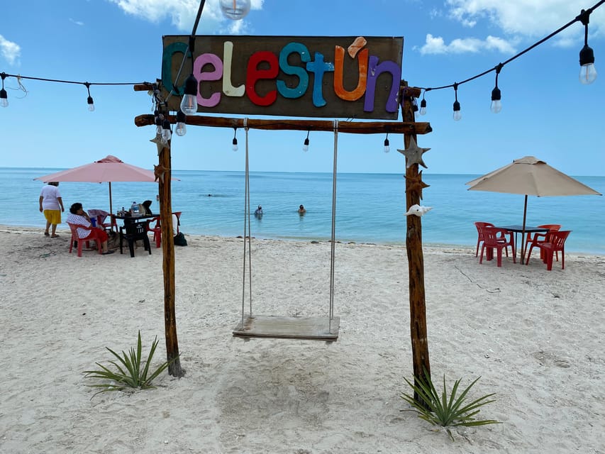 Manglares de Celestún, flamencos rosas y excursión a la playa ...