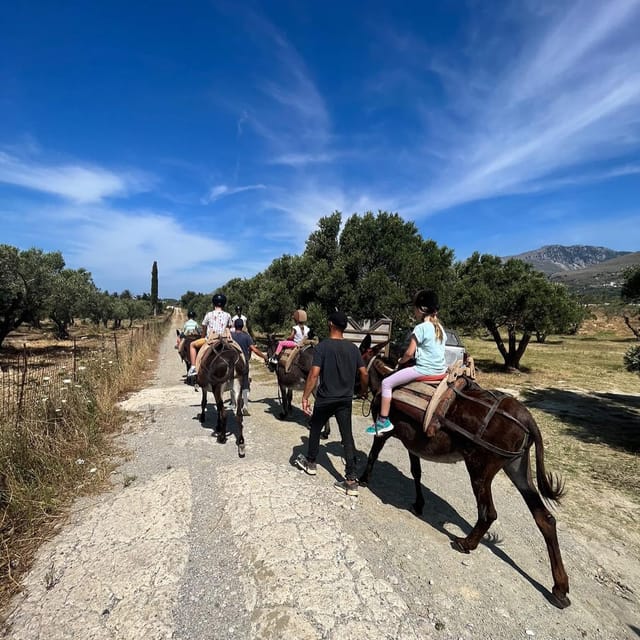 Montar en burro - Paseo breve y fácil | GetYourGuide