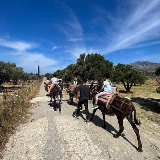 Donkey Riding - Coastline Ride | GetYourGuide