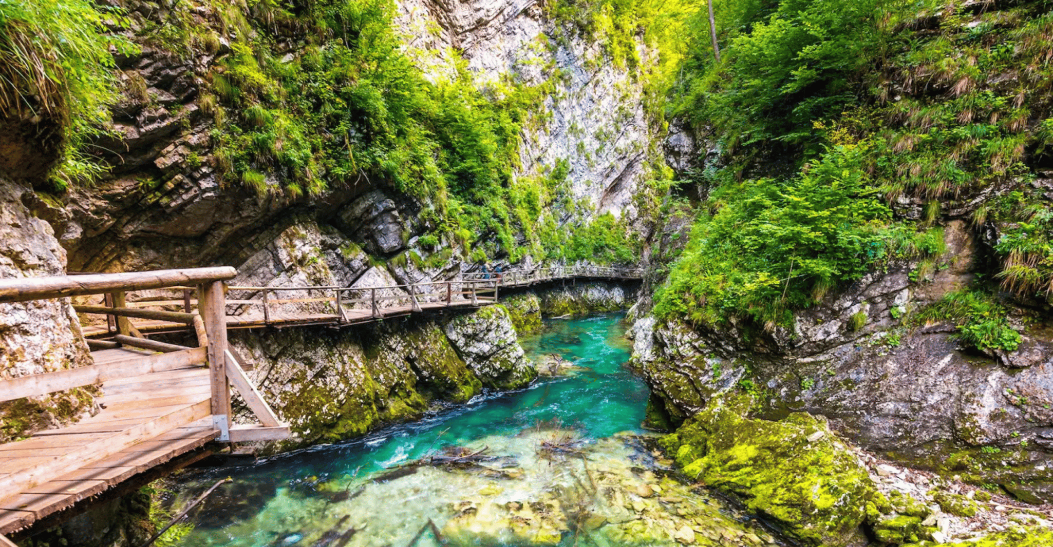 Bled, Vintgar Gorge Best Experience and Food Tasting - SuiteTrails