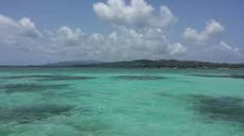 The BEST Tobago Tours and Things to Do in 2024 - FREE Cancellation ...