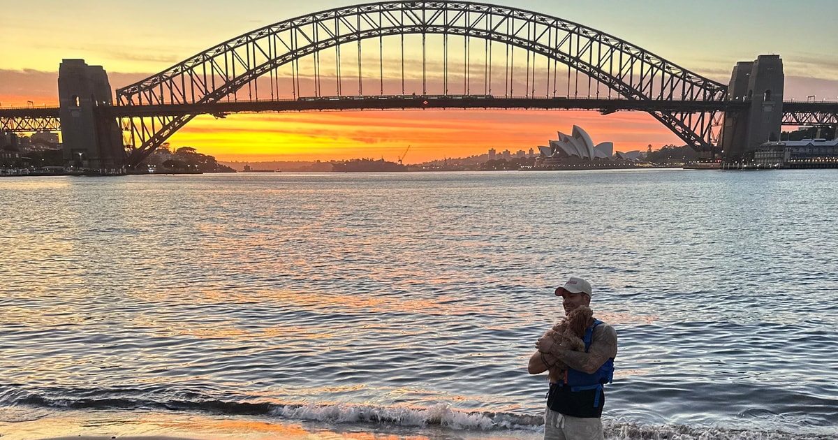Sydney: Sunset Kayak Tour with Opera House Views | GetYourGuide