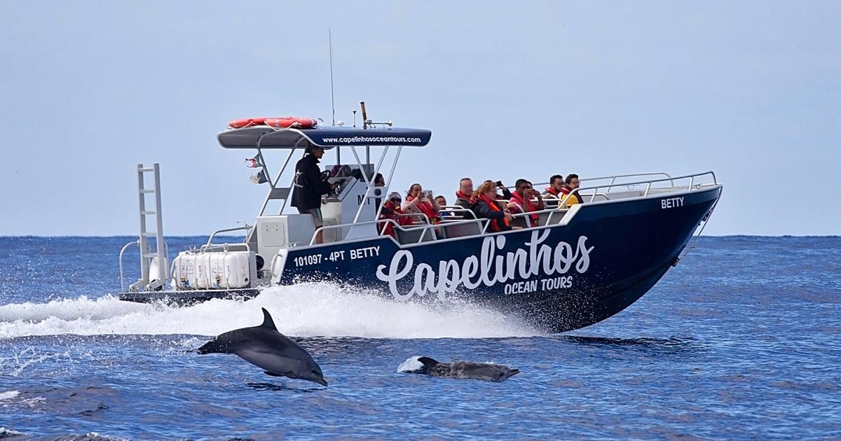 Faial Island: Unique boat tour to the Capelinhos volcano | GetYourGuide