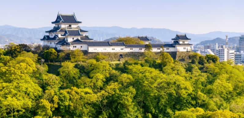 Kyoto/Osaka: Mount Koya and Wakayama Private Day Trip | GetYourGuide