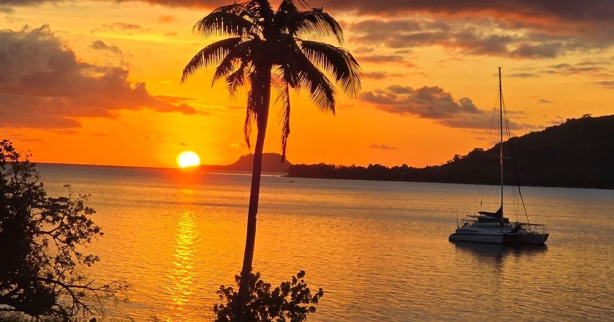 Vanuatu: Tanna Coffee Factory Tour and Pele Island Trip | GetYourGuide