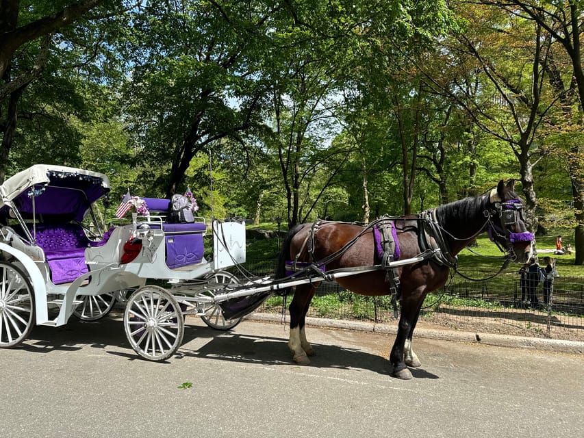 NYC: Private Central Park Horse Carriage Ride with Guide | GetYourGuide
