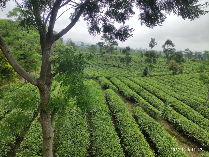 Java Classic Overland Tour | GetYourGuide