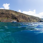 Big Island: Captain Cook Reef Snorkel Tour | GetYourGuide