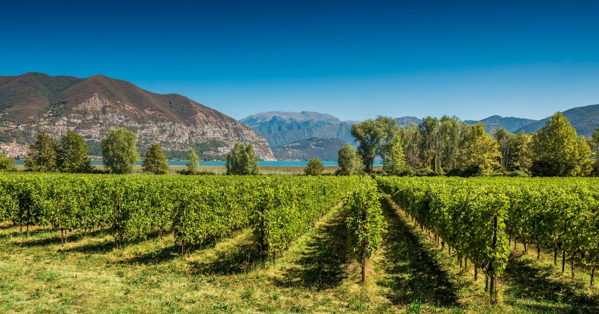 From Milan: Full Day in Franciacorta. 2 Wineries & Lunch | GetYourGuide