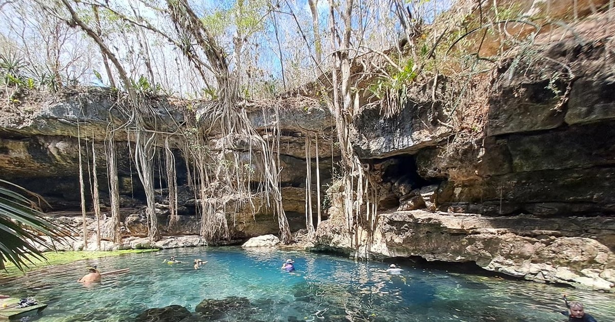 Discover the Serenity: A Tour of the Hidden Cenotes | GetYourGuide