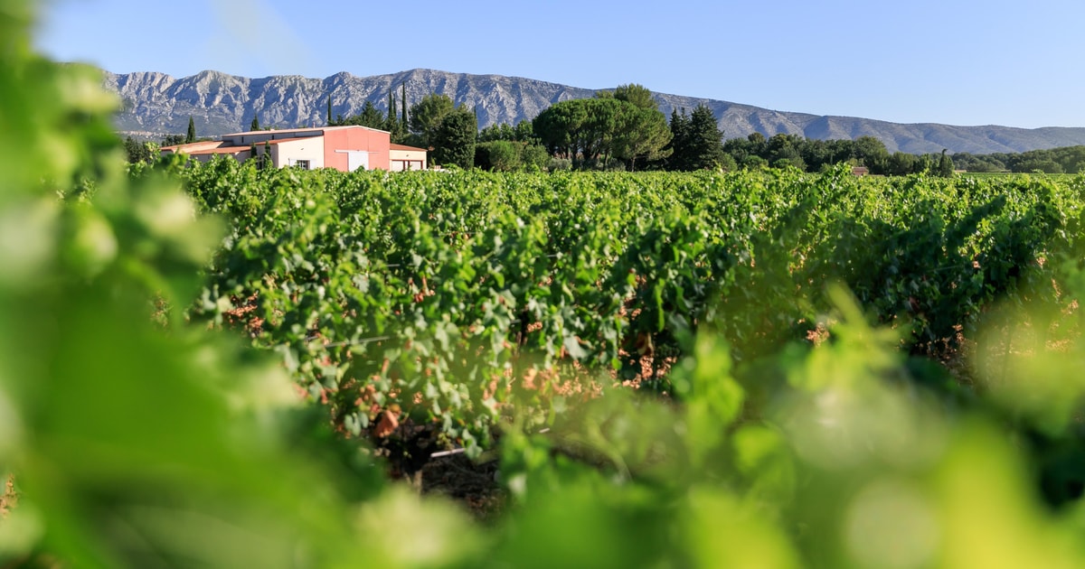 From Aix en Provence: Half-day Wine Tour in Provence | GetYourGuide