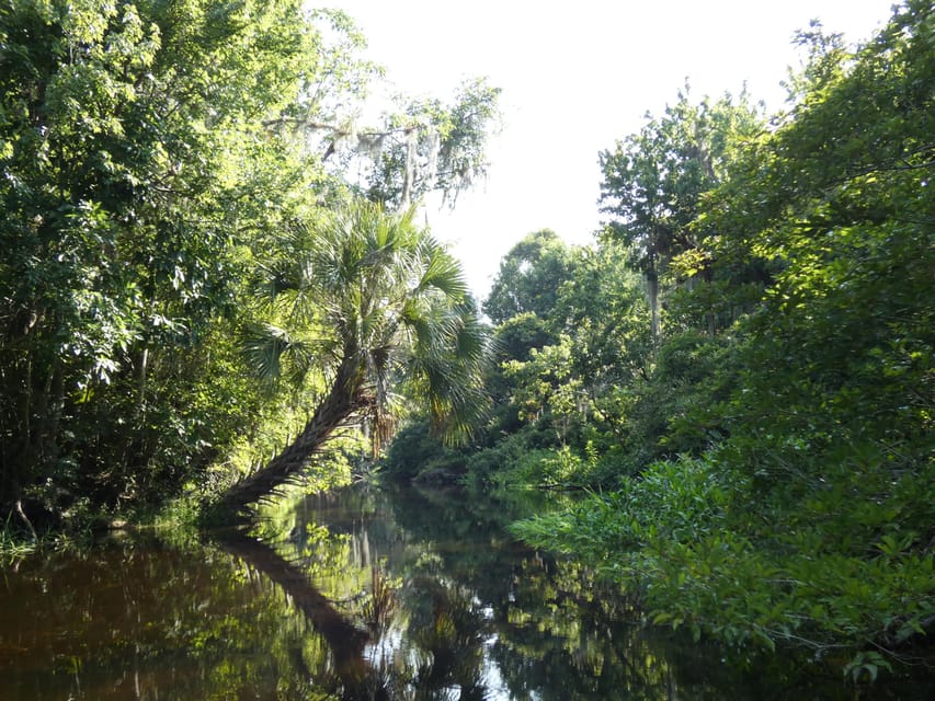 Orlando: Small Group Scenic Wekiva River Kayak Tour | GetYourGuide
