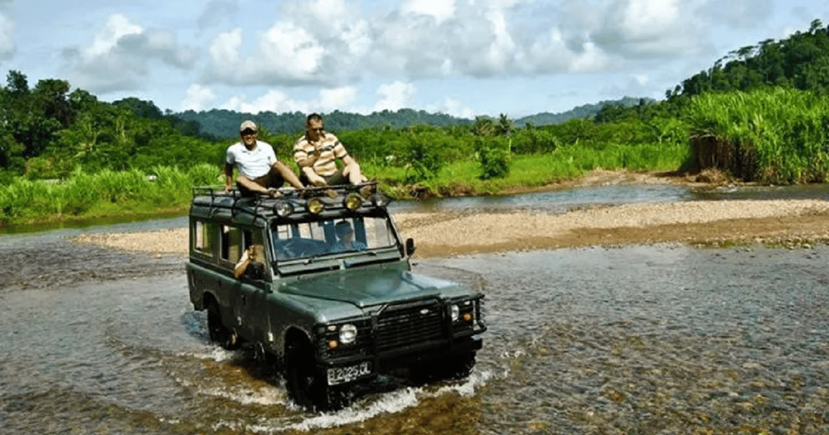 Sukamade: A Private Tour To See Turtle Lay Egg (2D/1N) | GetYourGuide