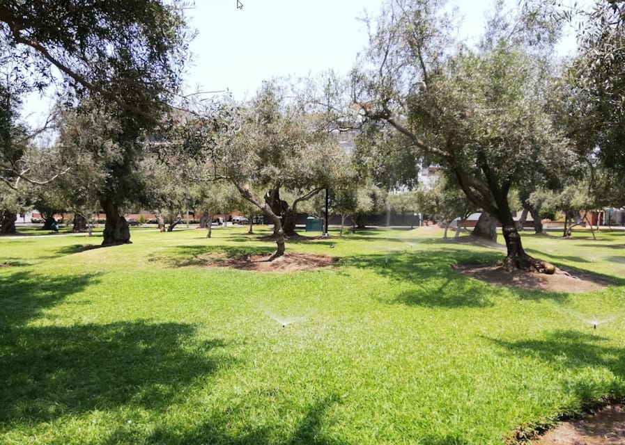 Take an hour stroll around the hidden gems of El Olivar park | GetYourGuide