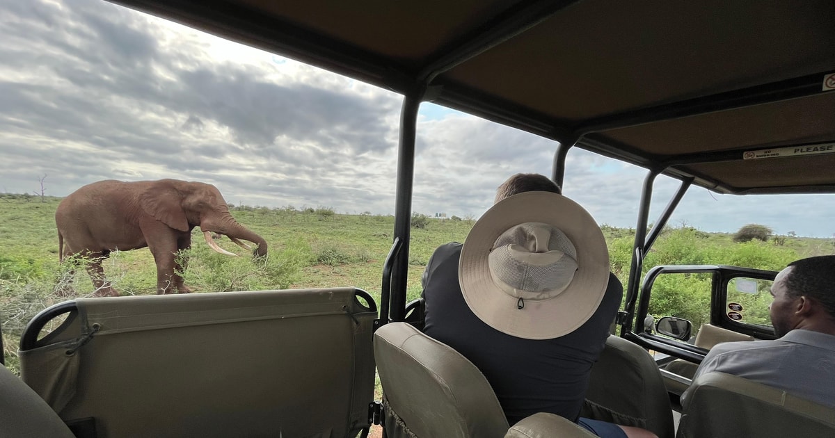 Emocionante Safari de 3 Días por el Kruger desde Nelspruit | GetYourGuide
