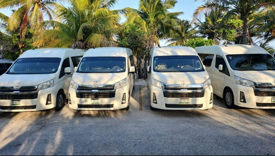 Tulum: Holbox Adası'na Özel Transpotasyon | GetYourGuide
