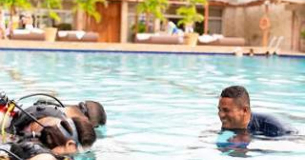 Cartagena: PADI ReActivate Diving Update Programm | GetYourGuide