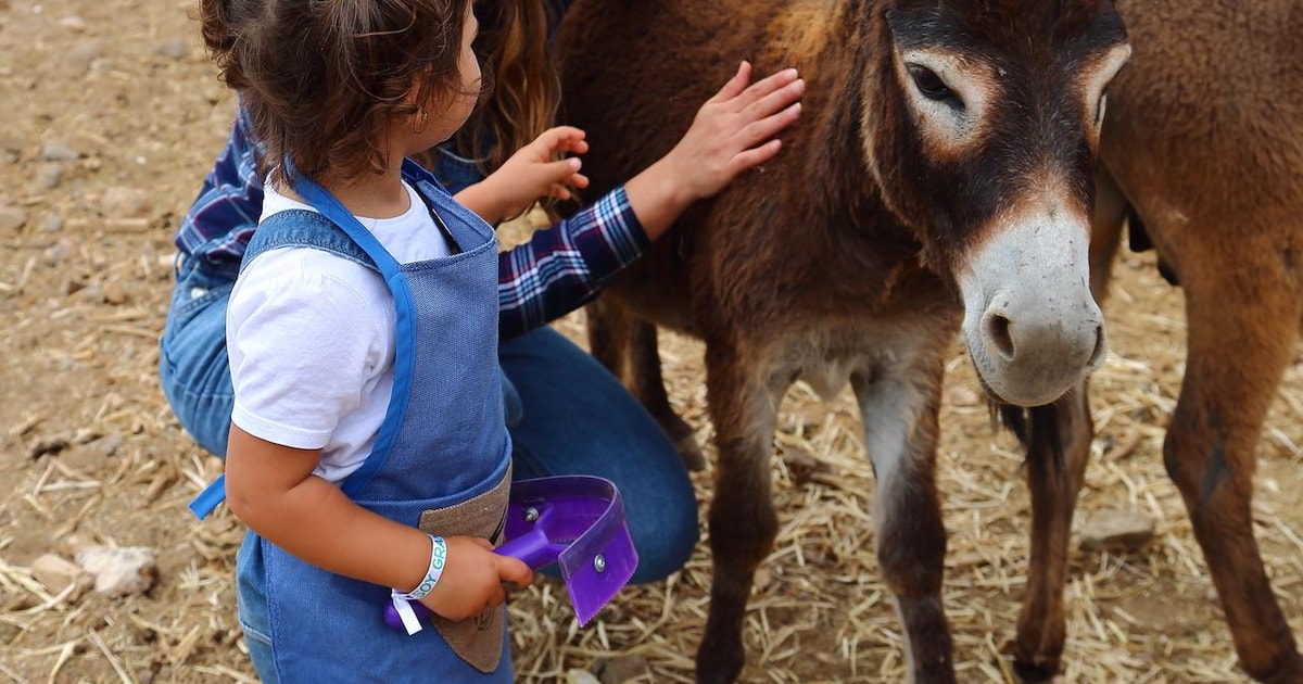 Agüimes : Wees een boer voor een dag bij La Jaira de Ana | GetYourGuide