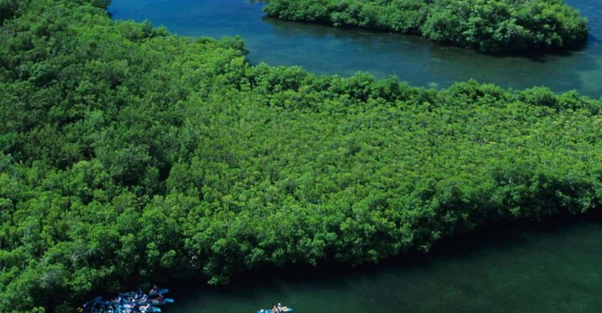 St. Thomas: Cas Cay - Kayak Hike and Snorkel Adventure | GetYourGuide