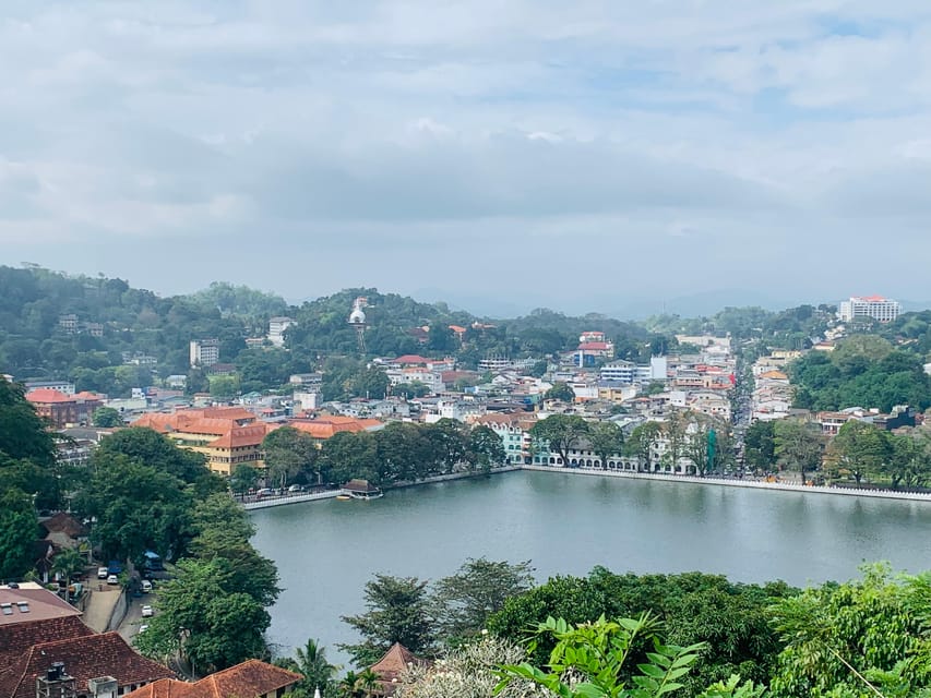 Tour di un giorno nella splendida città di Kandy da Colombo | GetYourGuide