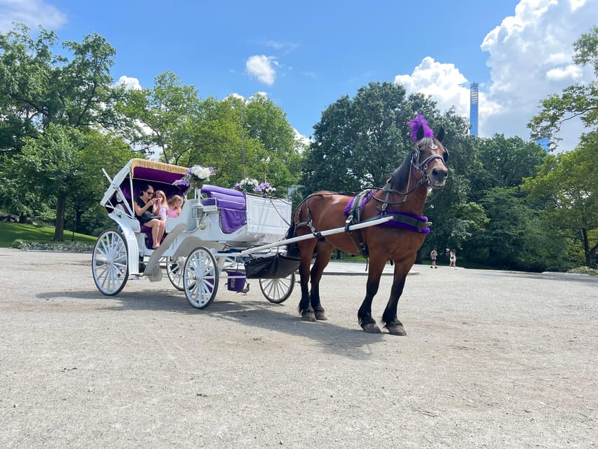 Royal Carriage Ride in Central Park NYC | GetYourGuide