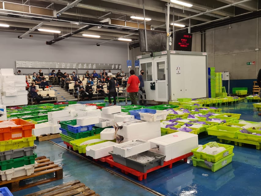 Guided visit to the Pasaia fish market | GetYourGuide
