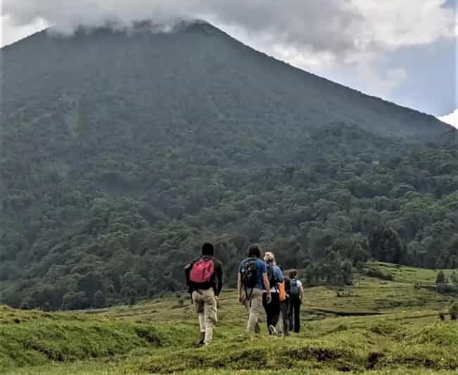 Caminhada no Monte Bisoke no Parque Nacional dos Vulcões | GetYourGuide