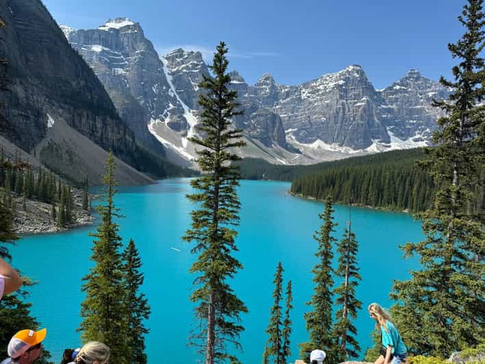 Moraine Lake, Lake Louise, Emerald lake & Banff Tour on Bus | GetYourGuide