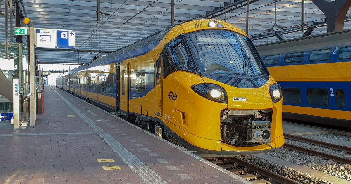 Amsterdam: Train transfer From/To Zaandijk Zaanse Schans | GetYourGuide