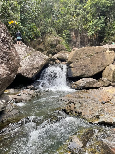 El Yunque: Hidden Off The Path Waterfall Hike w/ Transport | GetYourGuide