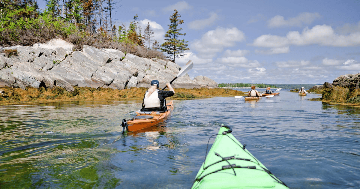 Maine: Hermon Pond Guided Kayaking Tour | GetYourGuide