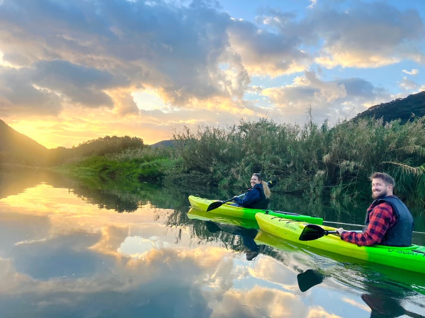 Amami: Morning Mangrove Kayaking Tour | GetYourGuide