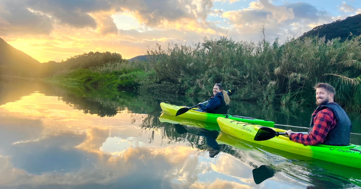 Amami: Morning Mangrove Kayaking Tour | GetYourGuide