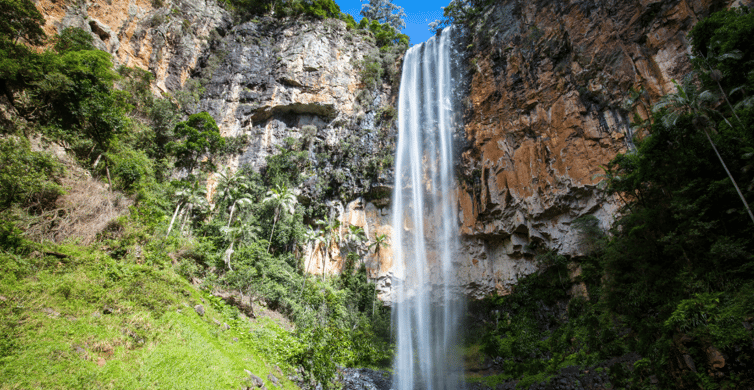 Spring Brook National Park Self Guided Driving Tour | GetYourGuide