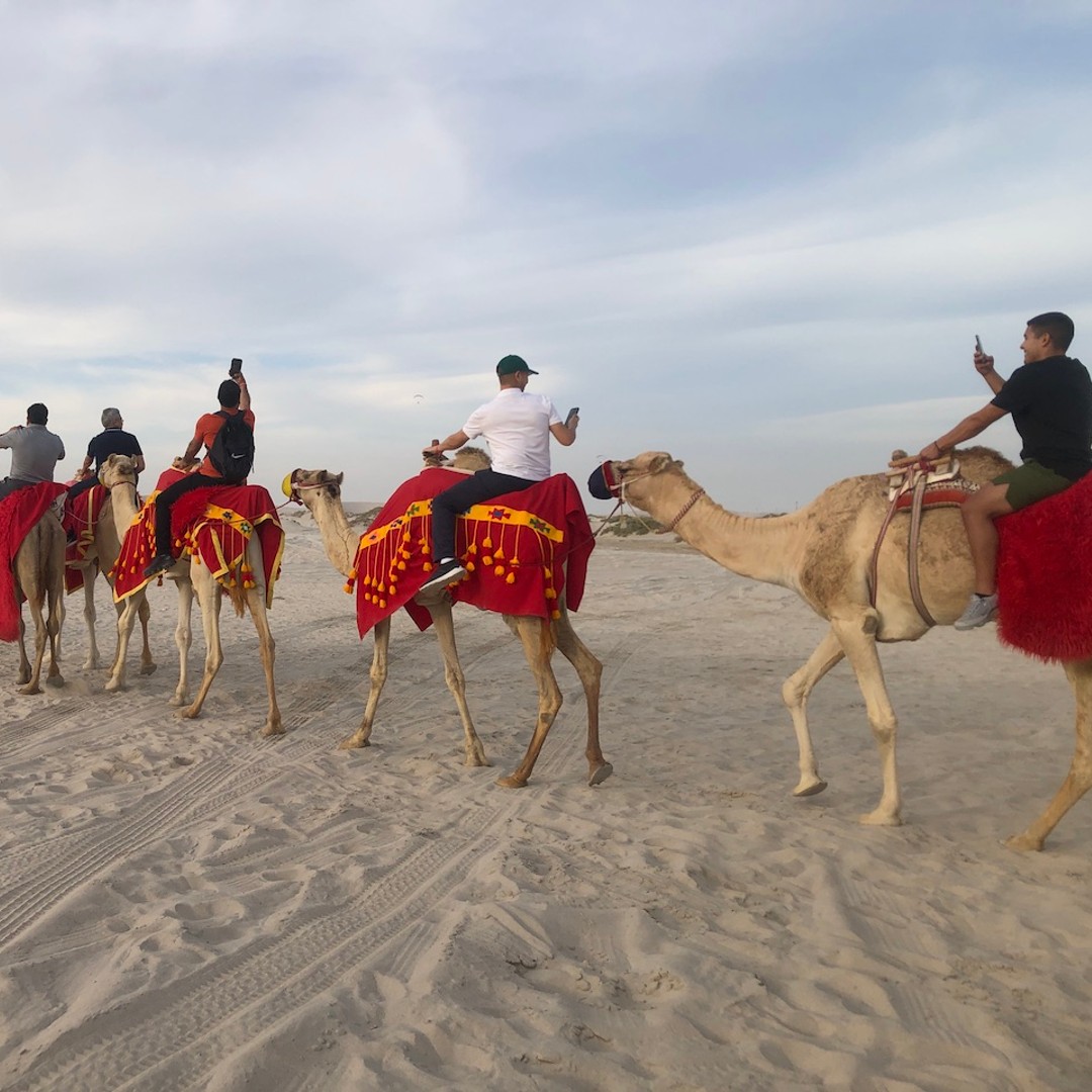 Doha Activities: Desert Safari, Dune Bashing & Inland Sea | GetYourGuide
